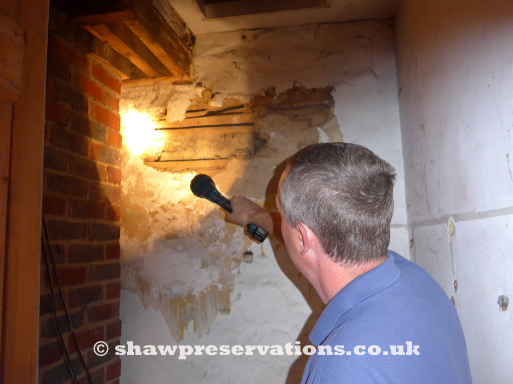 Why do you charge for your surveys?